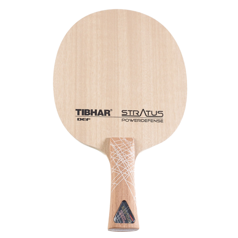 The Defender - Table Tennis Playstyle Guide • Racket Insight